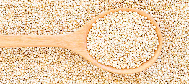 QUINOA: Propiedades, beneficios, dónde comprar Quinoa