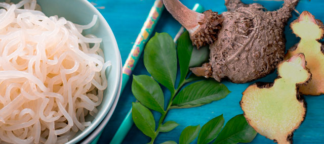 Konjac: qué es, propiedades y dónde comprar | TopplanT