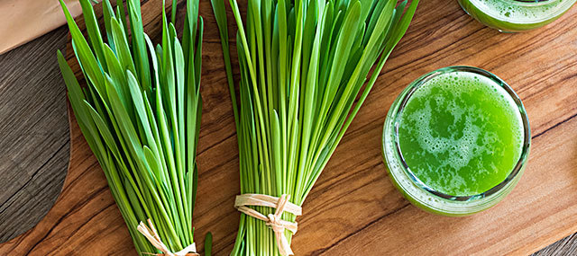 Cebada: qué es, propiedades y dónde comprar | TopplanT