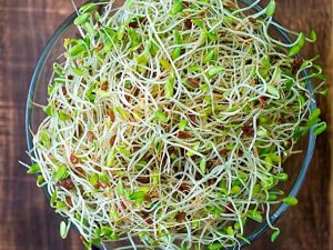 Alfalfa: qué es, propiedades y beneficios | TopplanT